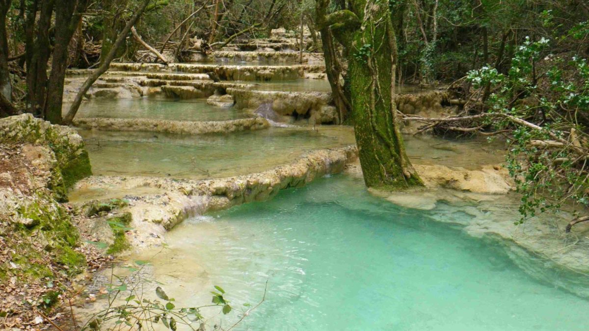 Caractérisation des zones humides - Sols et végétation zones humides